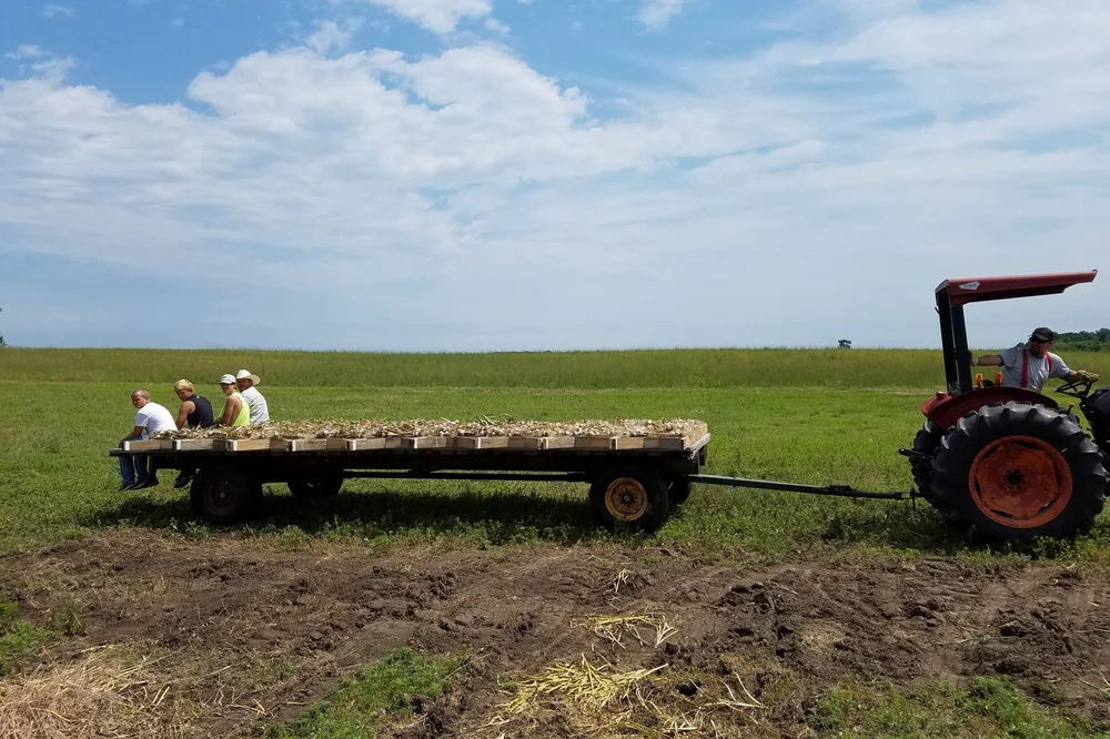 About — Prairie Coteau Farm