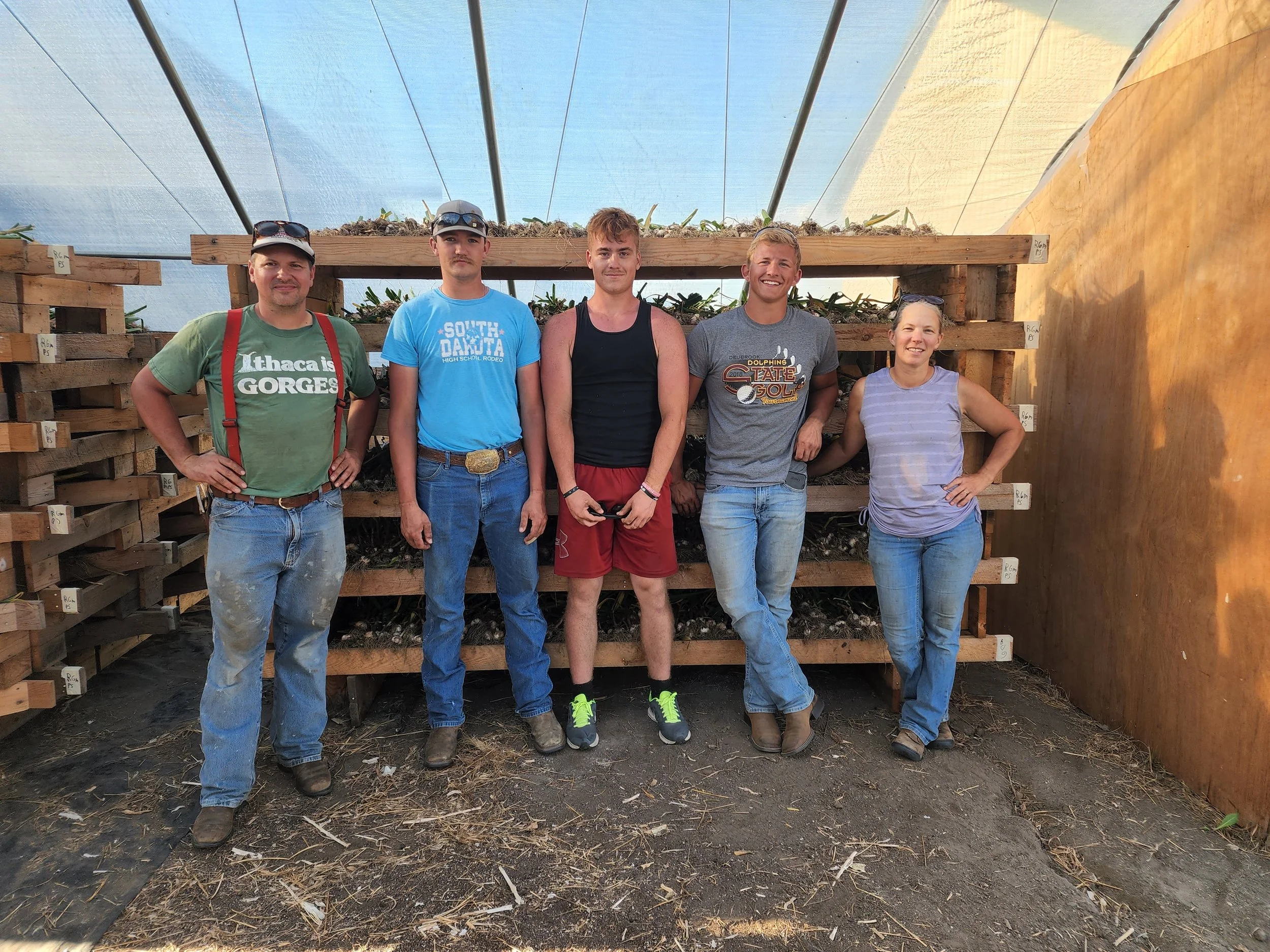 Garlic Harvest How To — Prairie Coteau Farm