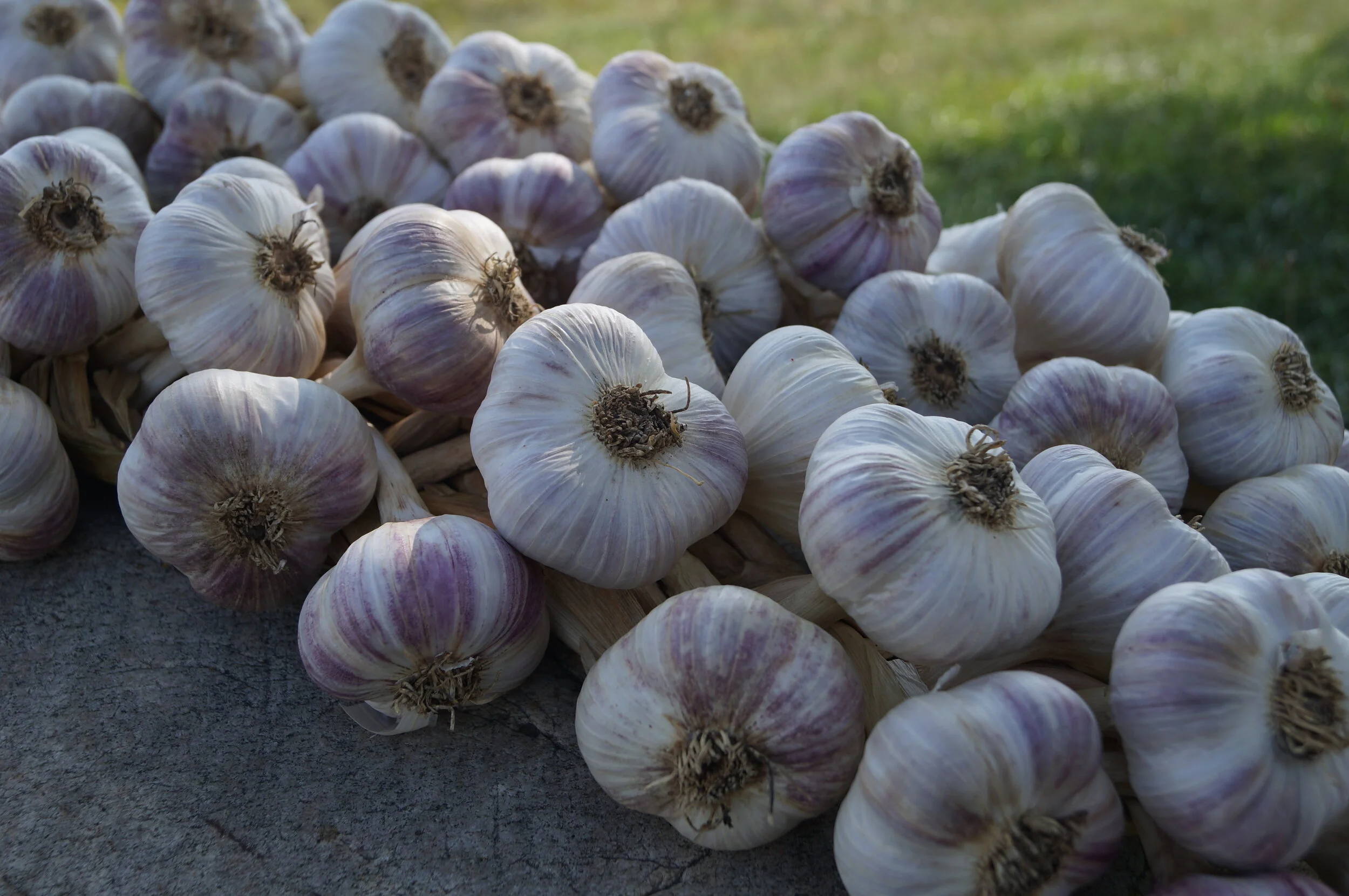 Prairie Coteau Farm