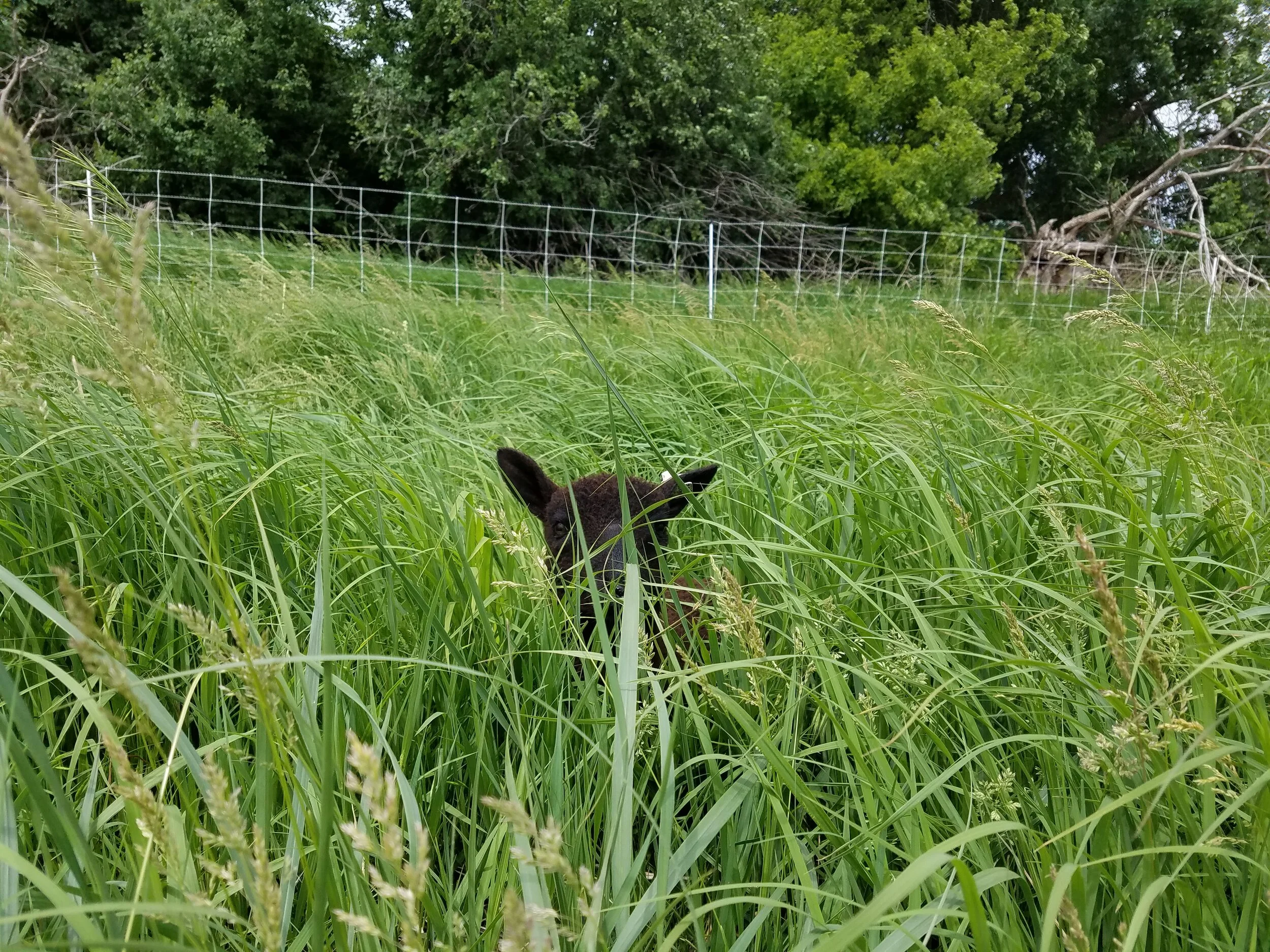 Contact — Prairie Coteau Farm