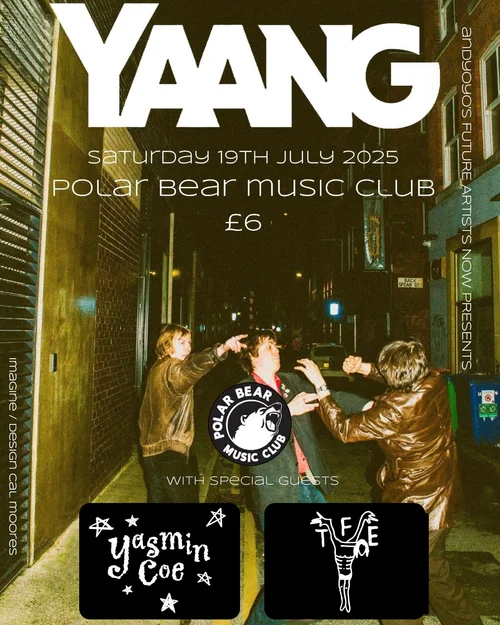YAANG — Polar Bear Music Club