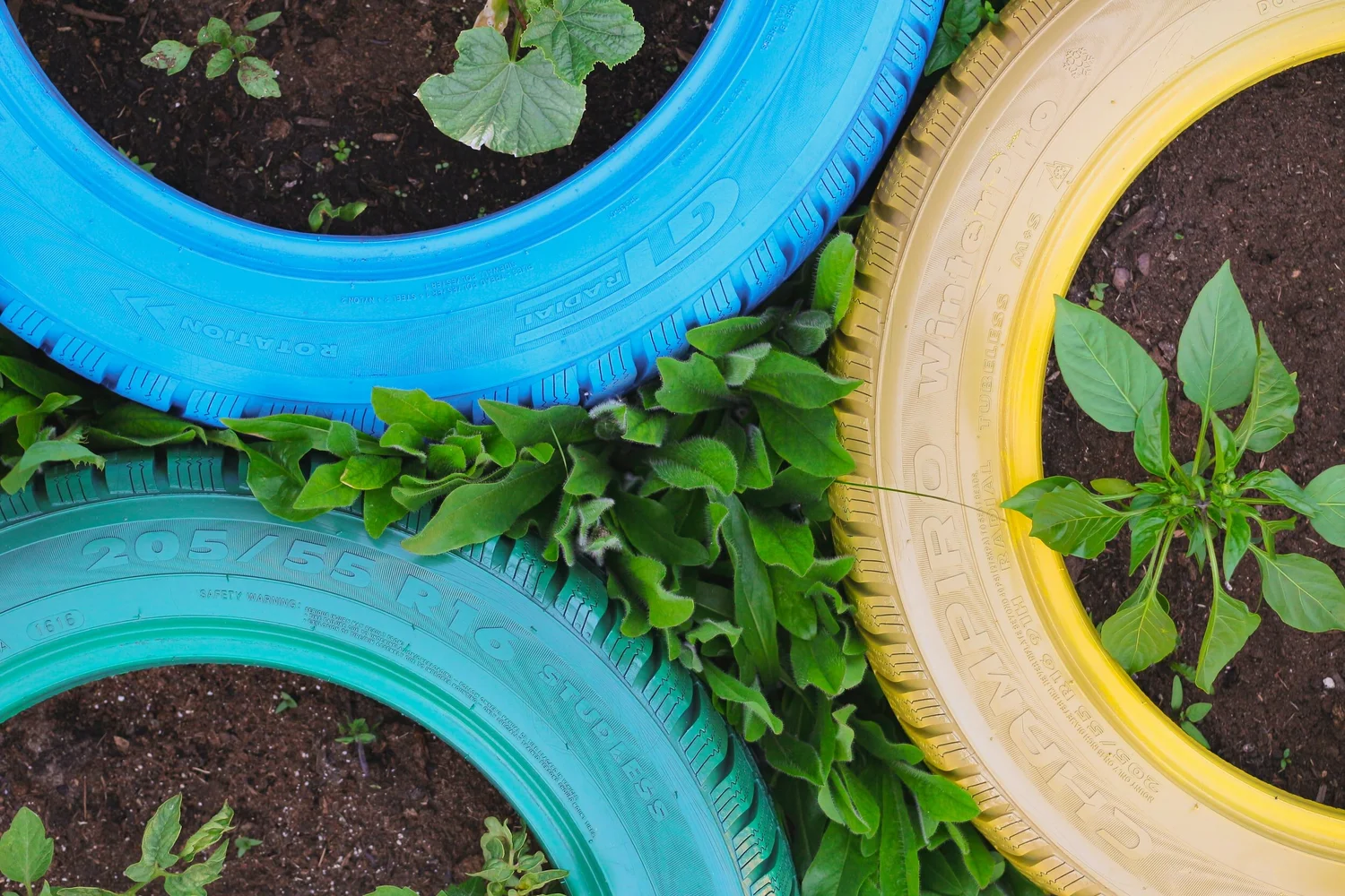 Recycled Rubber Coalition