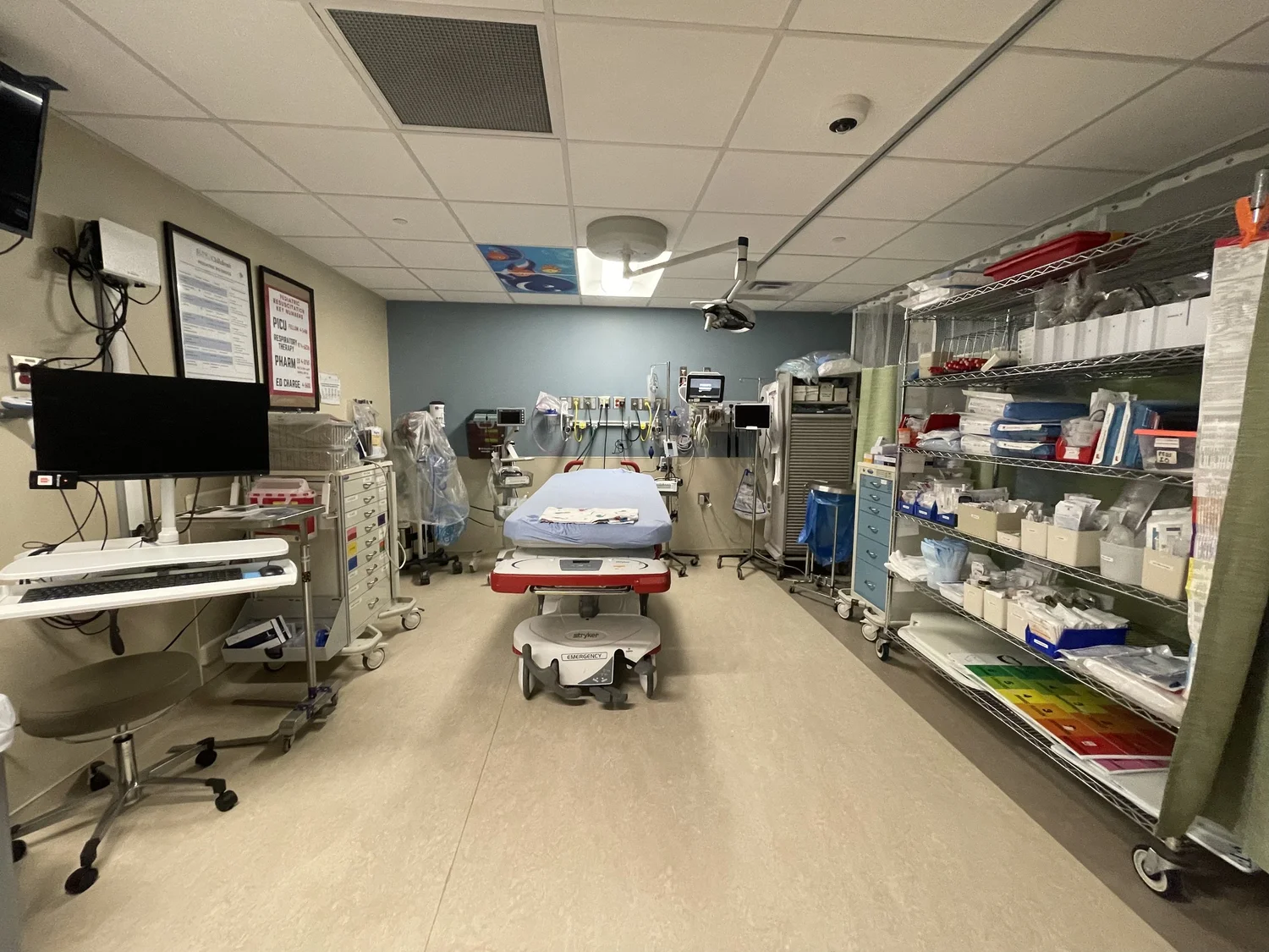 Pediatric Emergency Department Rotation Orientation Materials ...