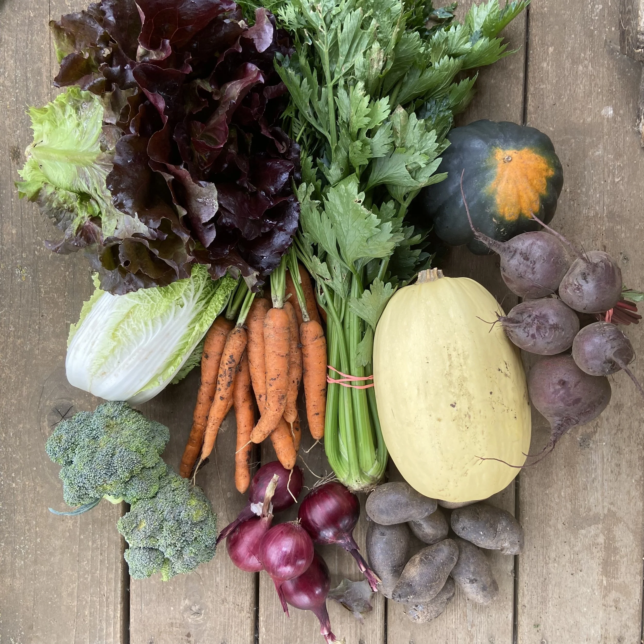 Blue Sky Vegetable Co.