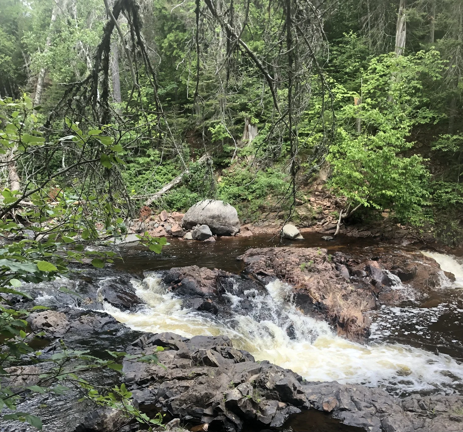 Plans Don’t Always Go As Planned, and That’s OK. — Unruly Women