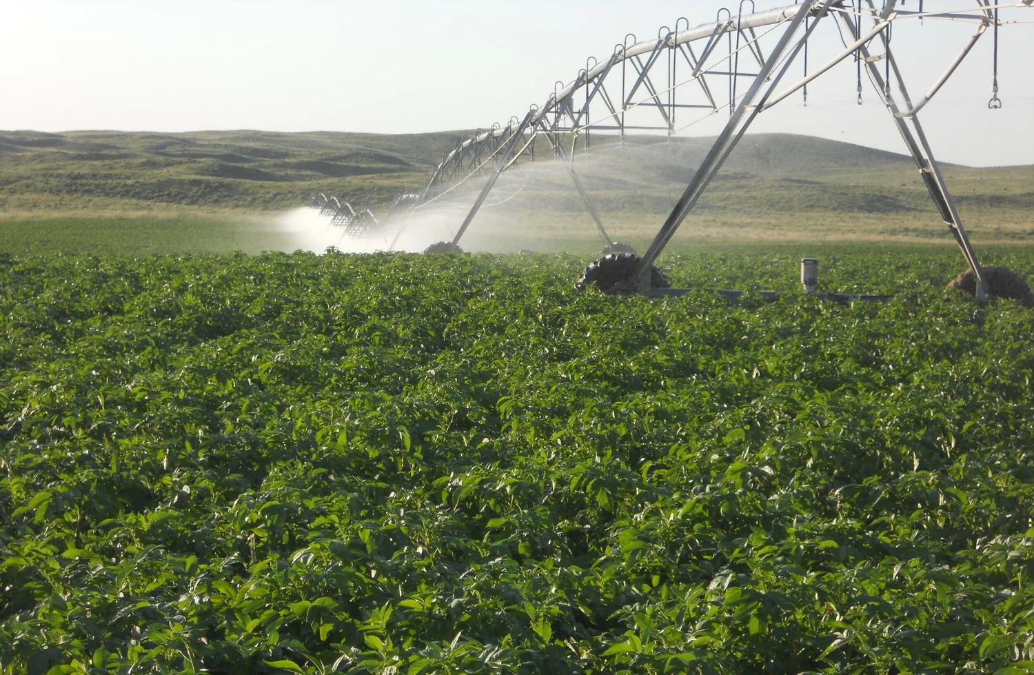 Lenz Family Farms