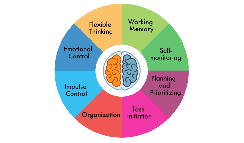 Executive Functioning — LDAM