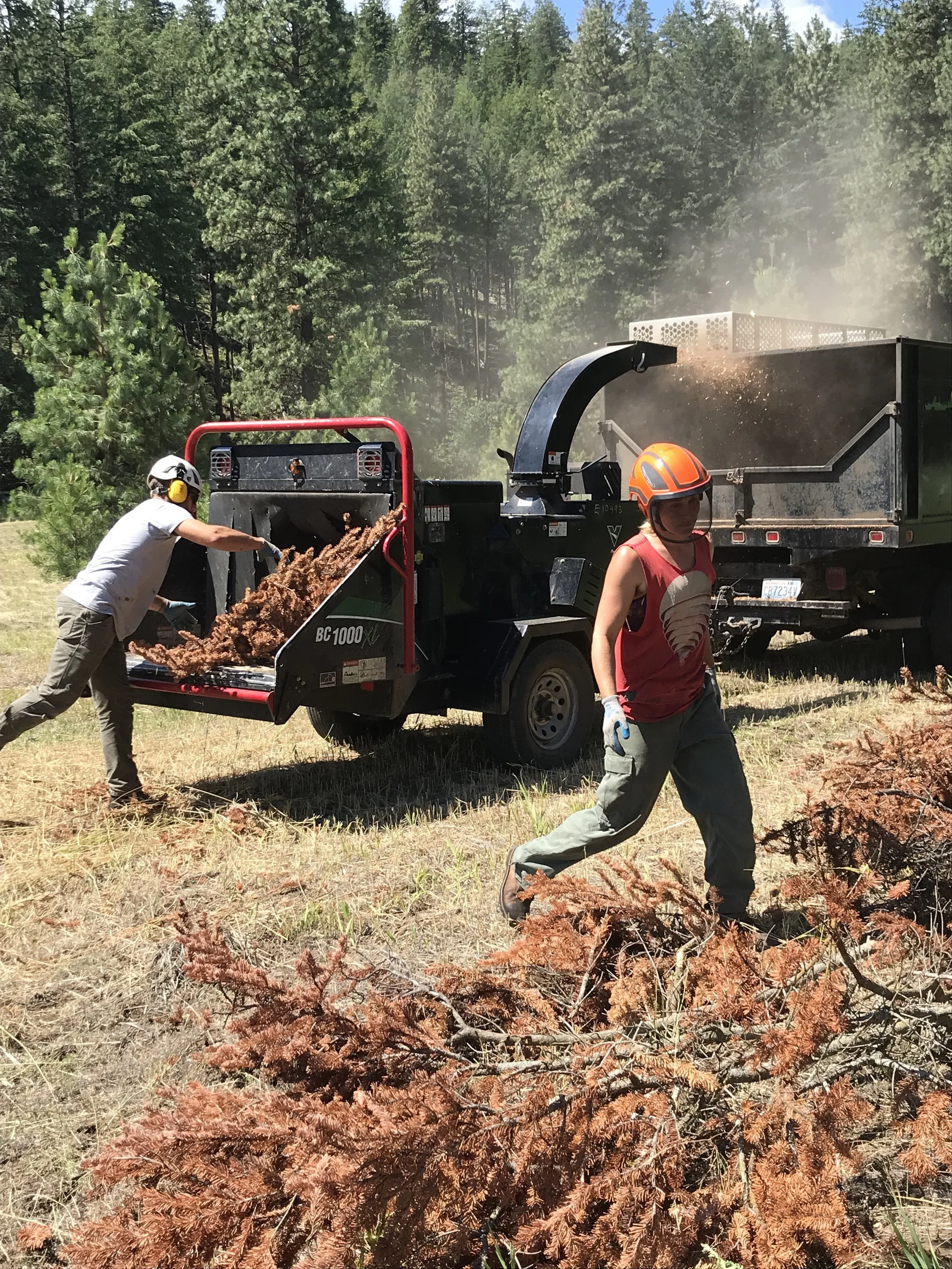 Programs — Fire Adapted Methow Valley