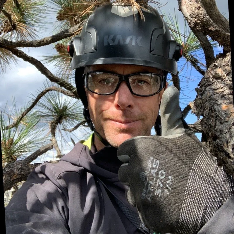 About Brett Huet Arboriculture, top ranked tree specialist in Oregon ...