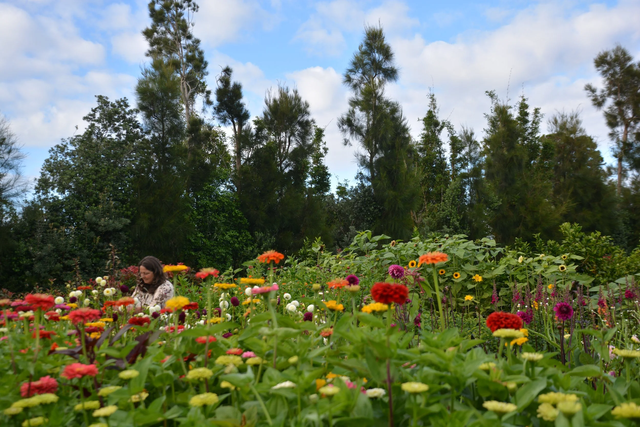 Pick Your own Flowers — FLORA flowers