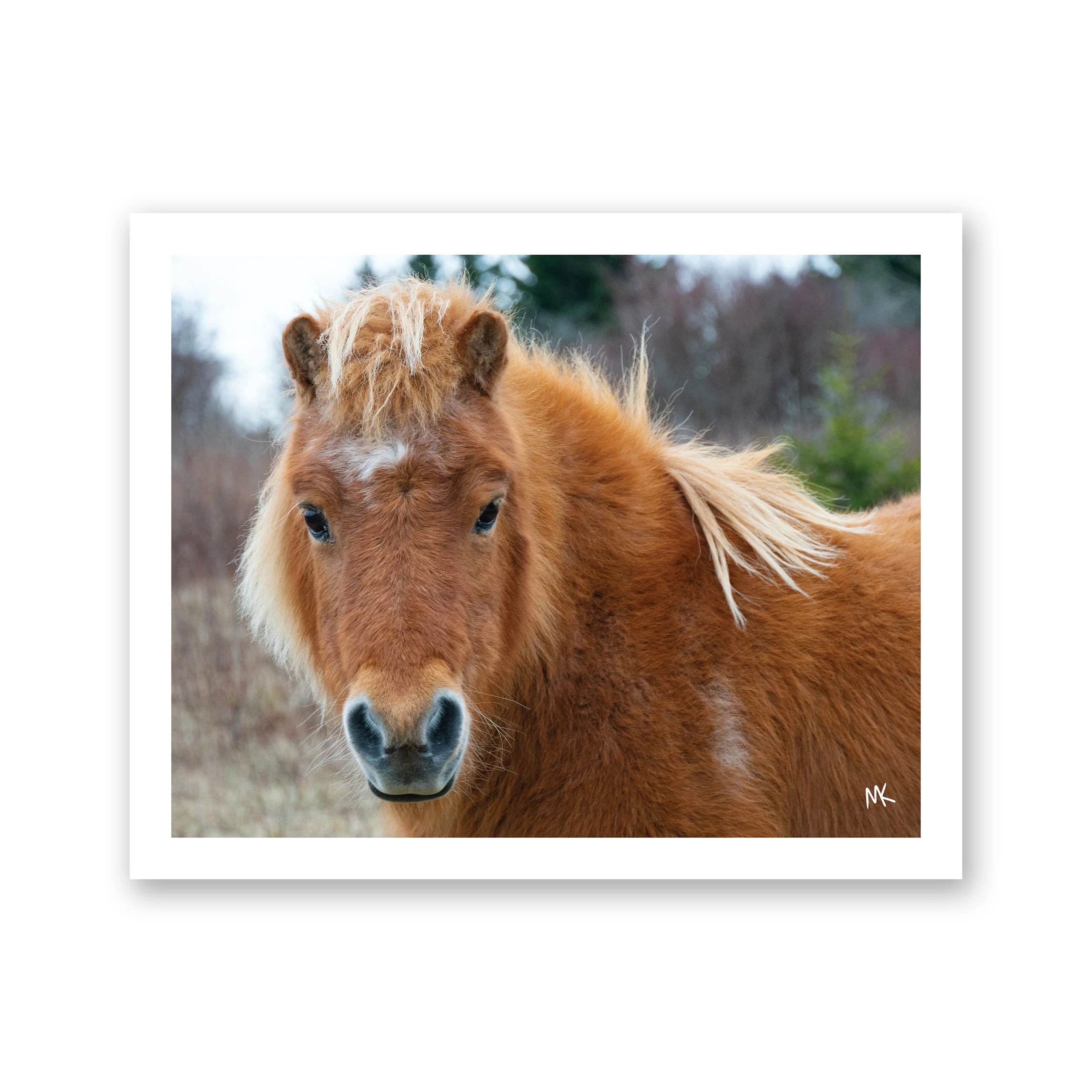 Store — Kimble Creative