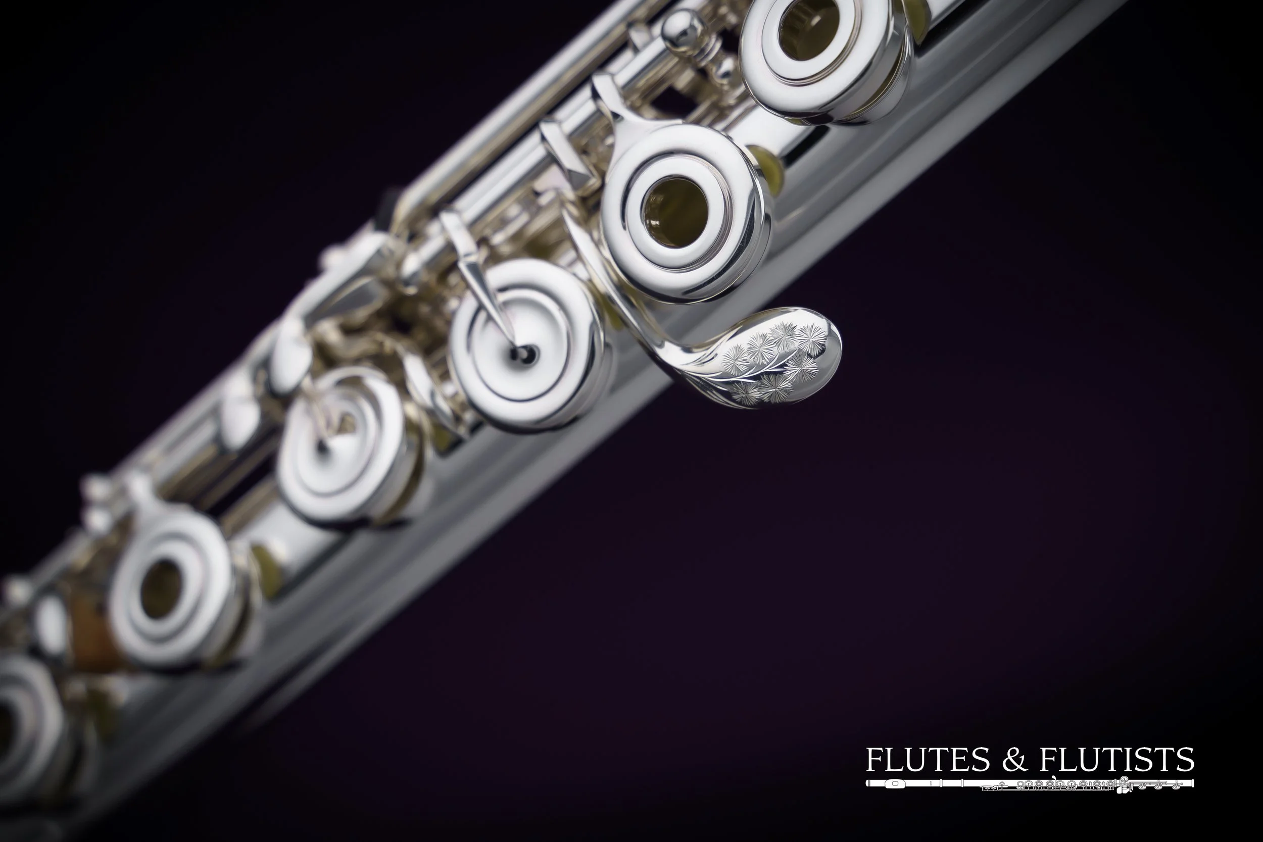 Wm. S. HAYNES Q Series Flute | Q Fusion — FLUTES & FLUTISTS | Australia ...