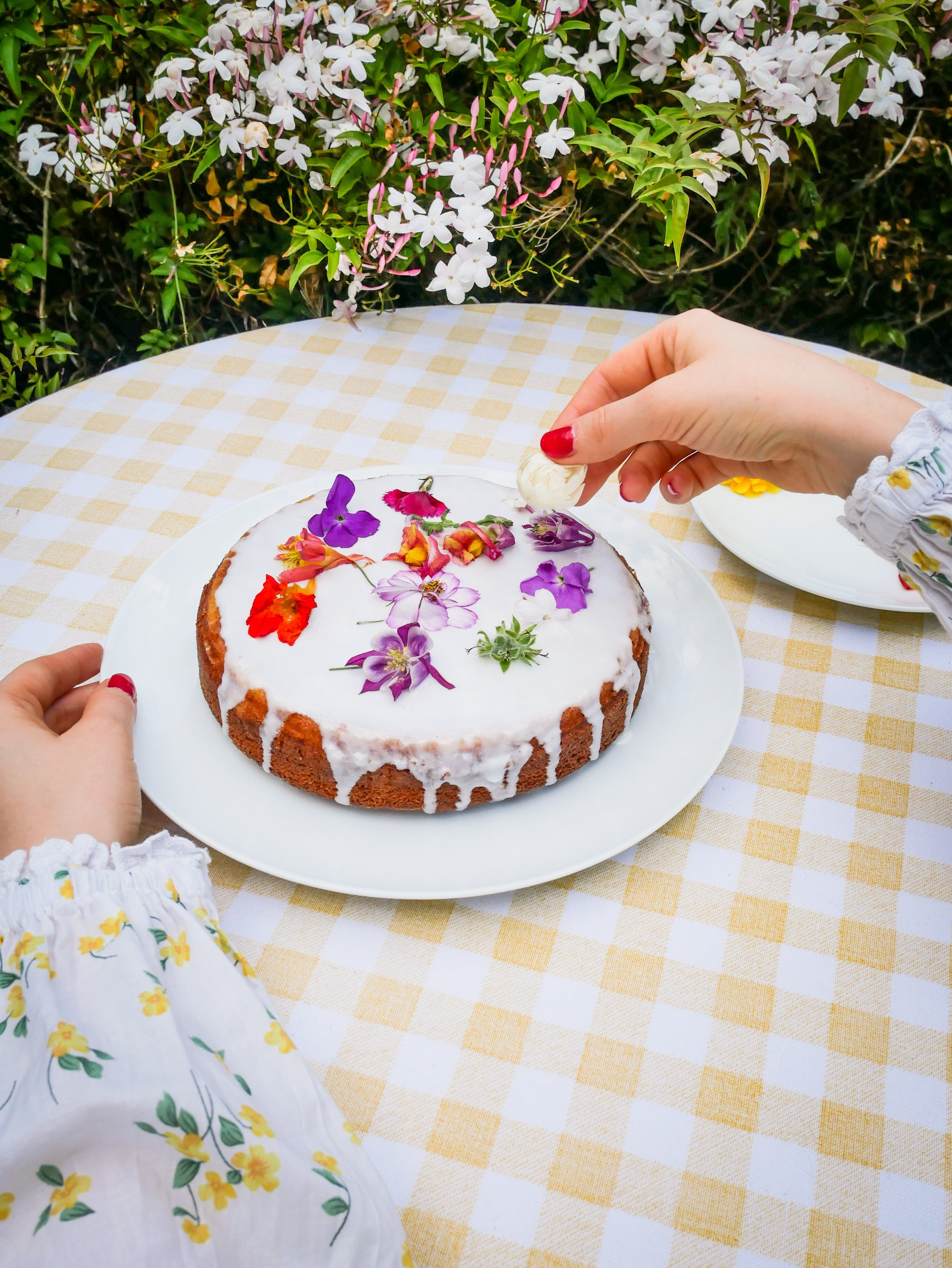 Bre Graham | Writer, Editor, Author