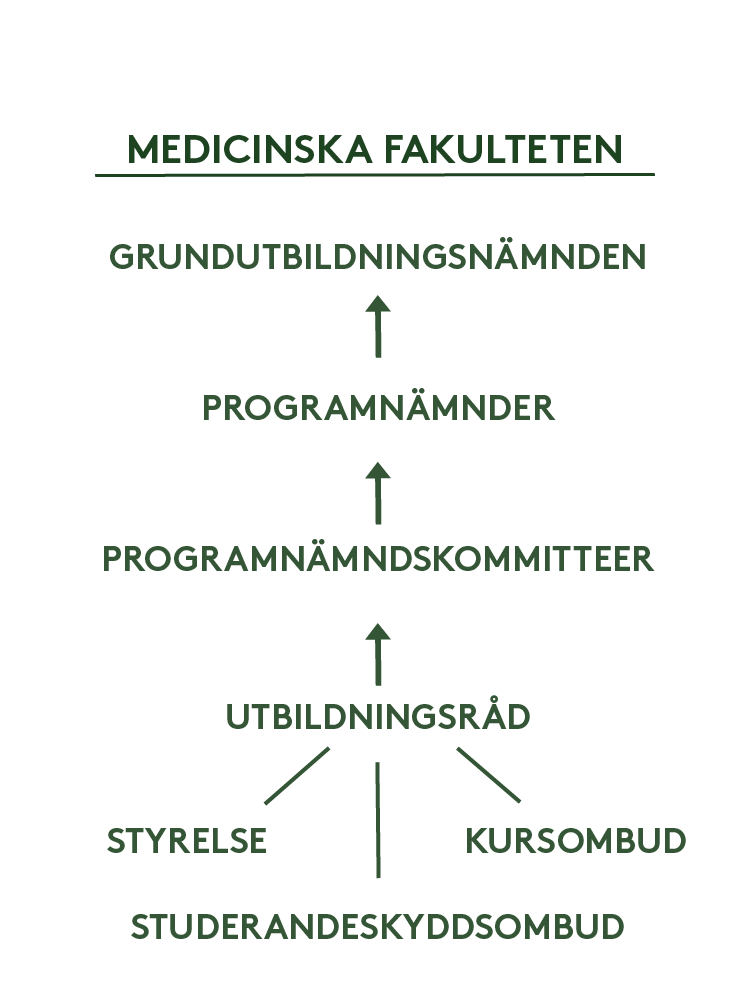 Engagera dig i utbildningen — Medicinska Föreningen