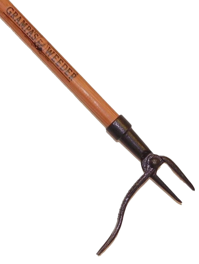 Learn How To Garden | THE COTTAGE PEACH