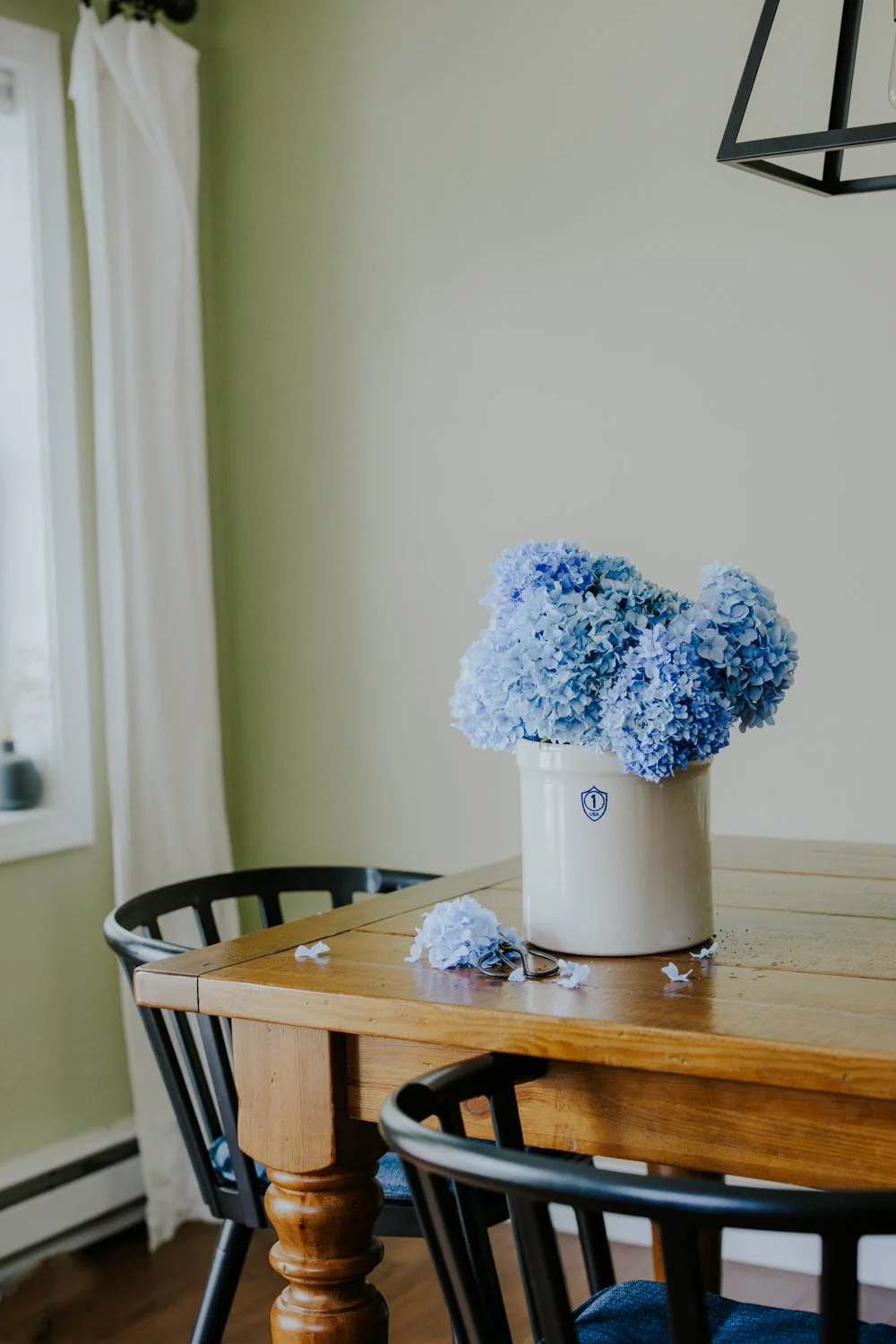 How to Grow, Care for and Arrange Hydrangea Flowers