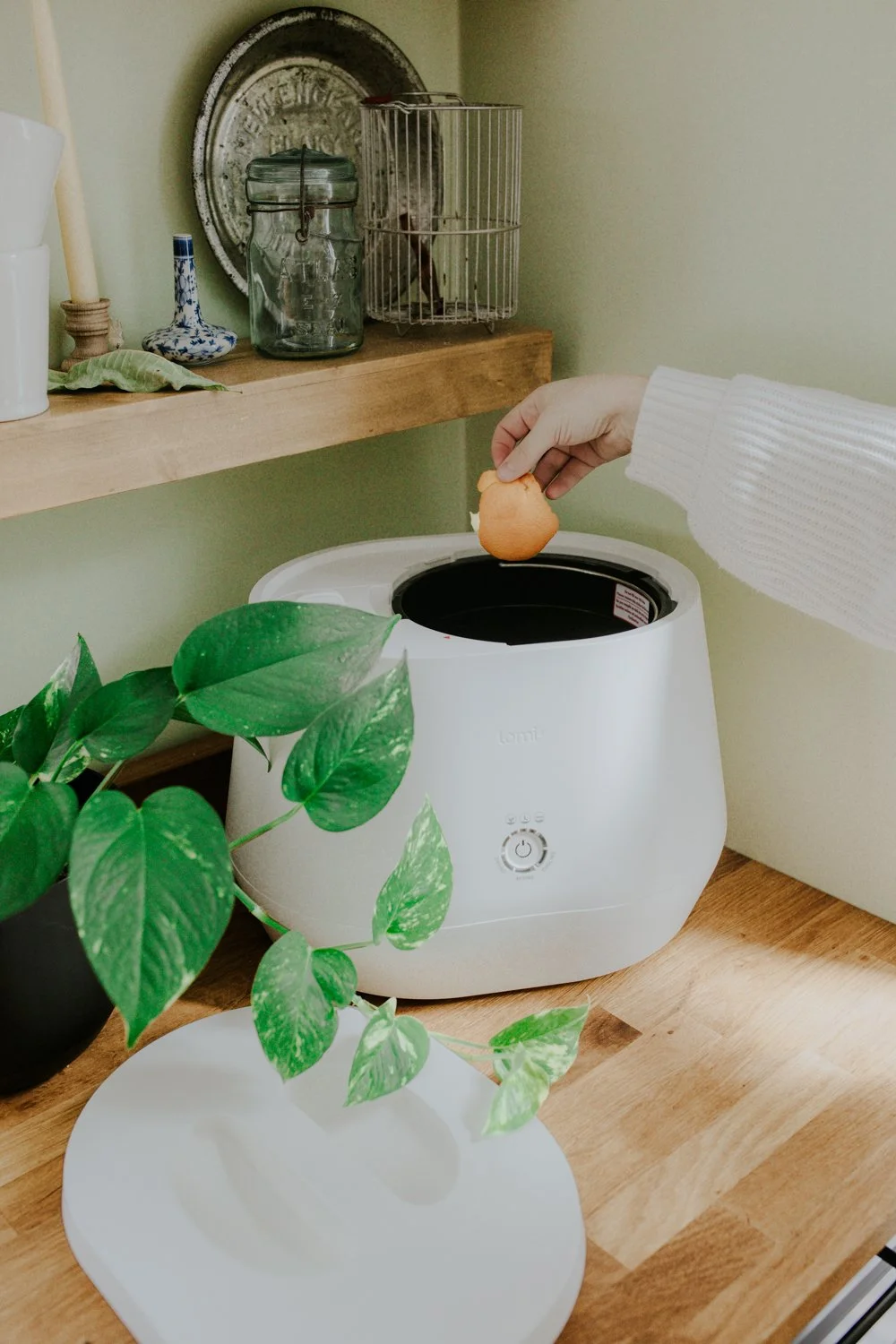 Gardening — Homesteading, slow living, gardening and vegetarian recipes ...