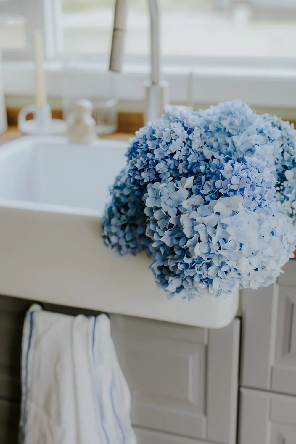 How to Grow, Care for and Arrange Hydrangea Flowers