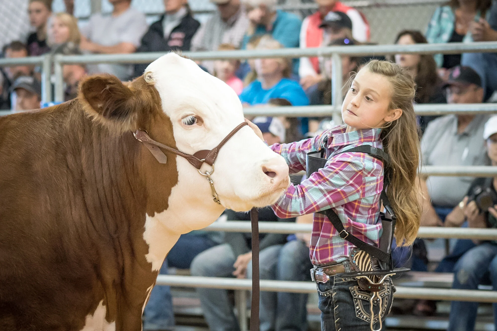 Benefit Auction & Dinner — Junior Livestock Show of Spokane