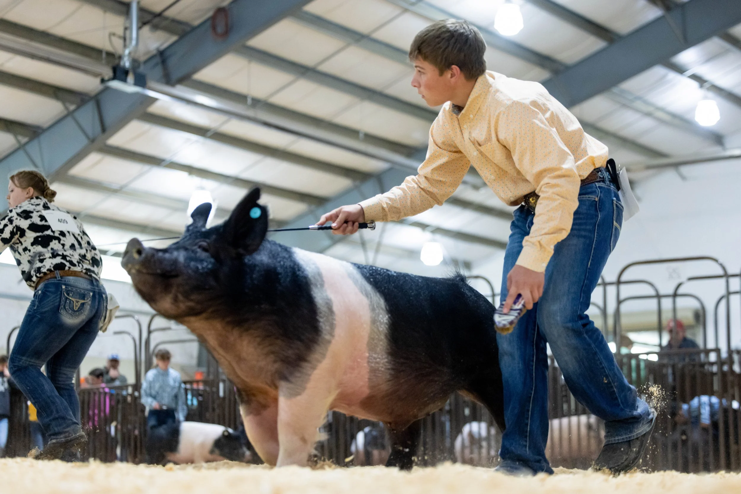 Benefit Auction & Dinner — Junior Livestock Show of Spokane