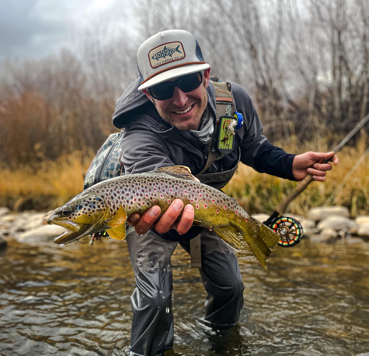 Revital Board — Revital | Colorado | Lifeline for our Frontline