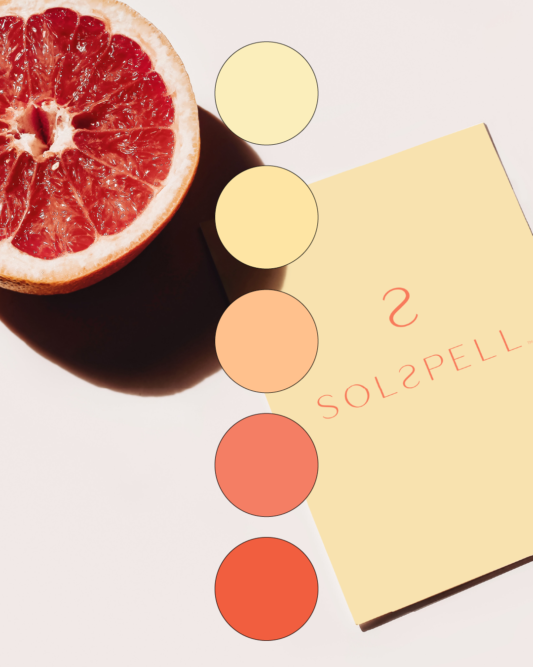 Embracing the 2024 Pantone Color of the Year: A Strategic Guide for ...