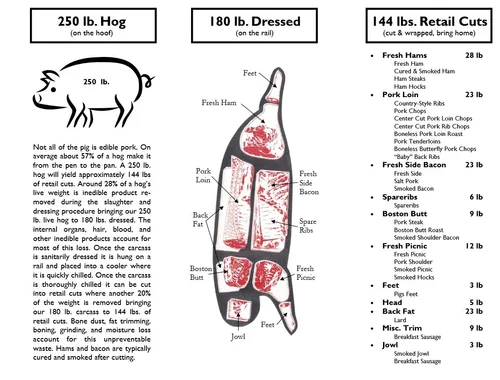 Pork Cut Chart — Ridgemeade Farm