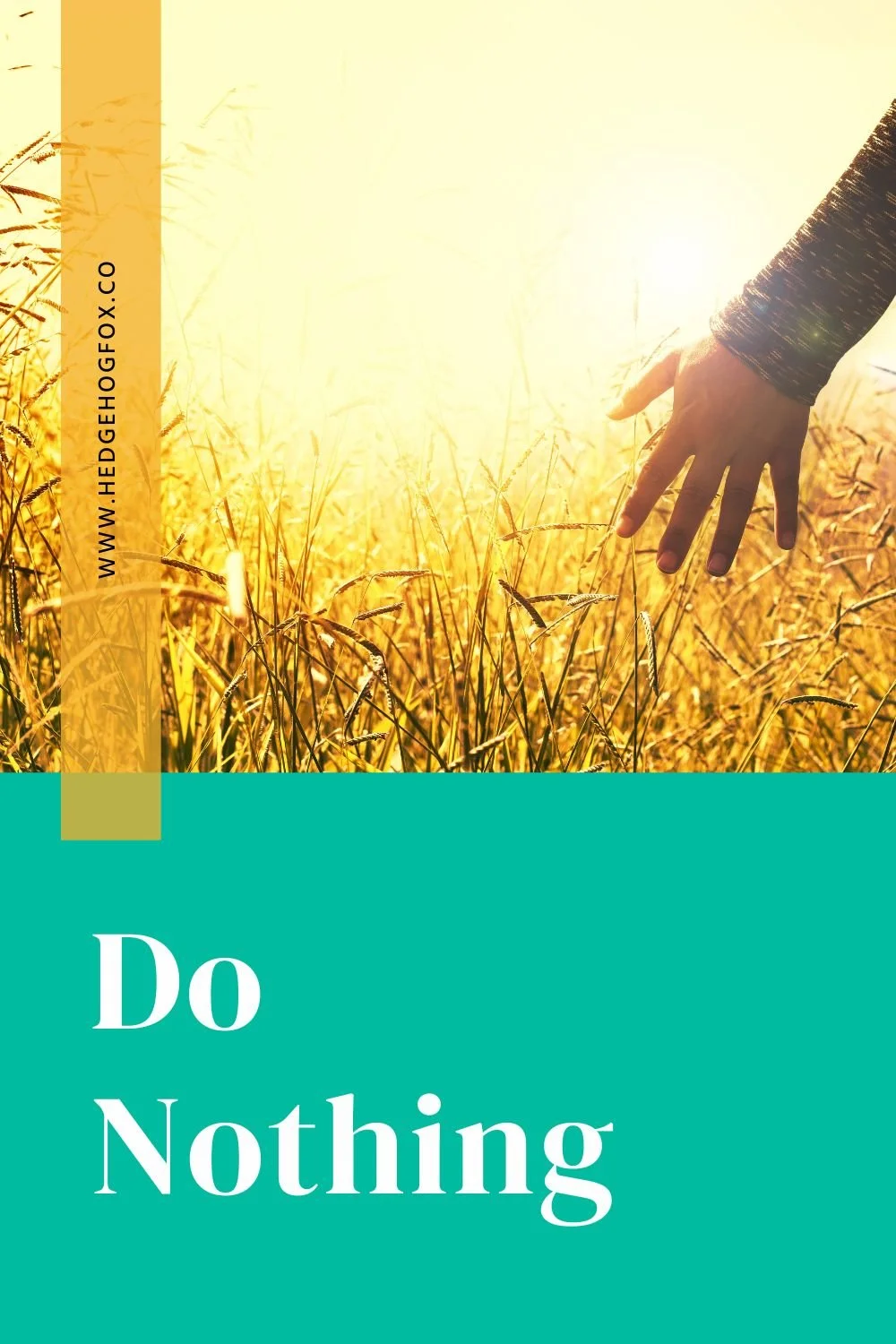 Free resources for nonprofits and organizations — Hedgehog + Fox ...
