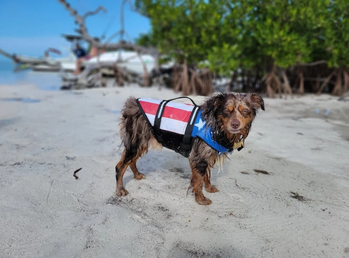 Key West Sandbar Trips | Salty Soul Charters