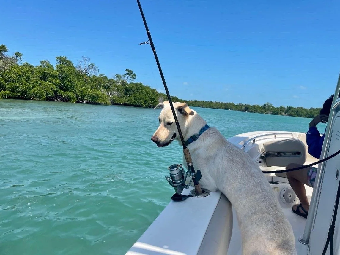 Key West Fishing Charters | Salty Soul Charters