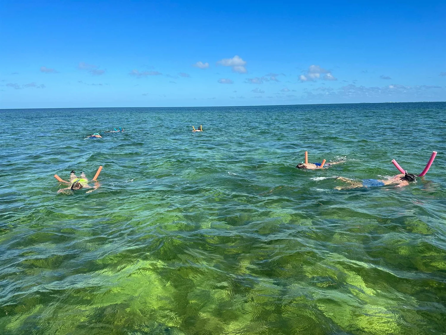 Key West Snorkeling | Salty Soul Charters