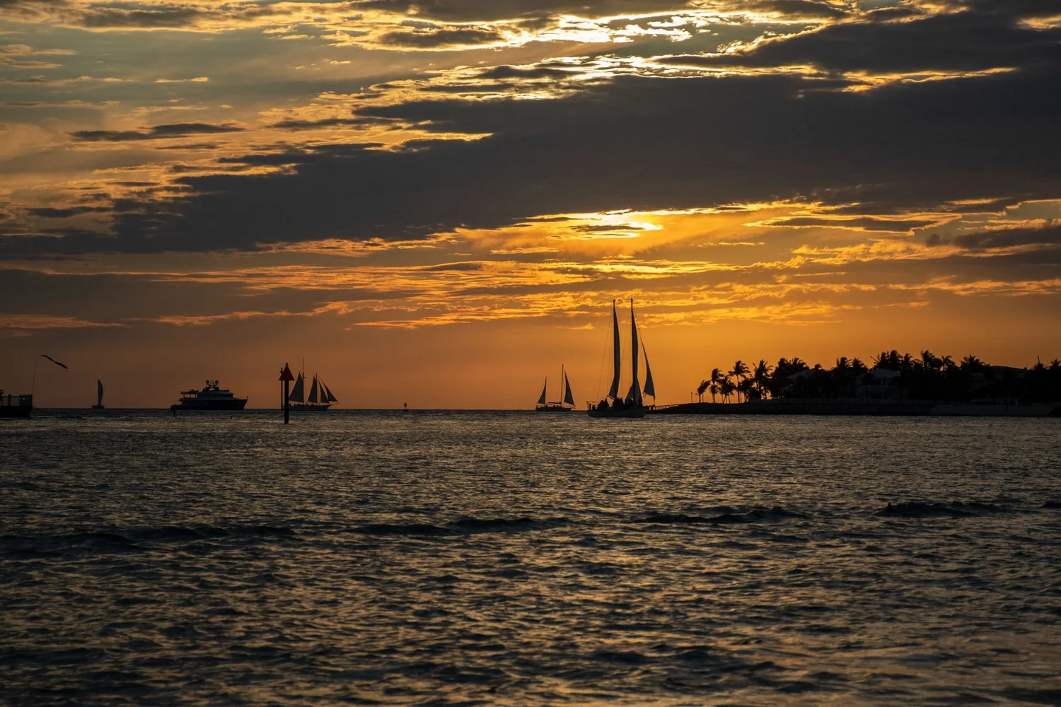 Key West Sunset Cruise | Salty Soul Charters