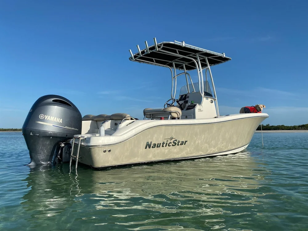 Dolphin Tour Key West | Salty Soul Charters