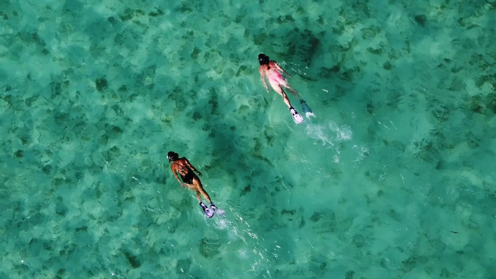 Key West Snorkeling | Salty Soul Charters
