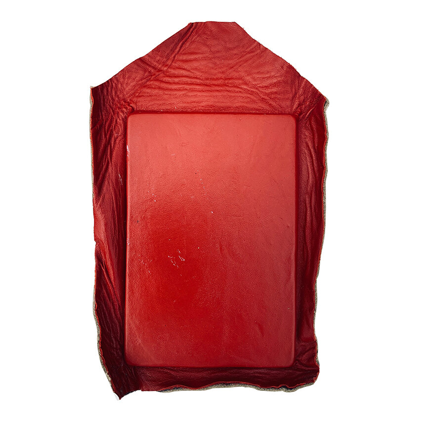 Shop — The Vitalist’s Academy of Biomagnetic Adjustment