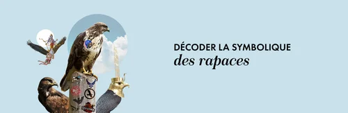 L’héritage visuel et la symbolique des rapaces | Graphisme | Auvergne ...