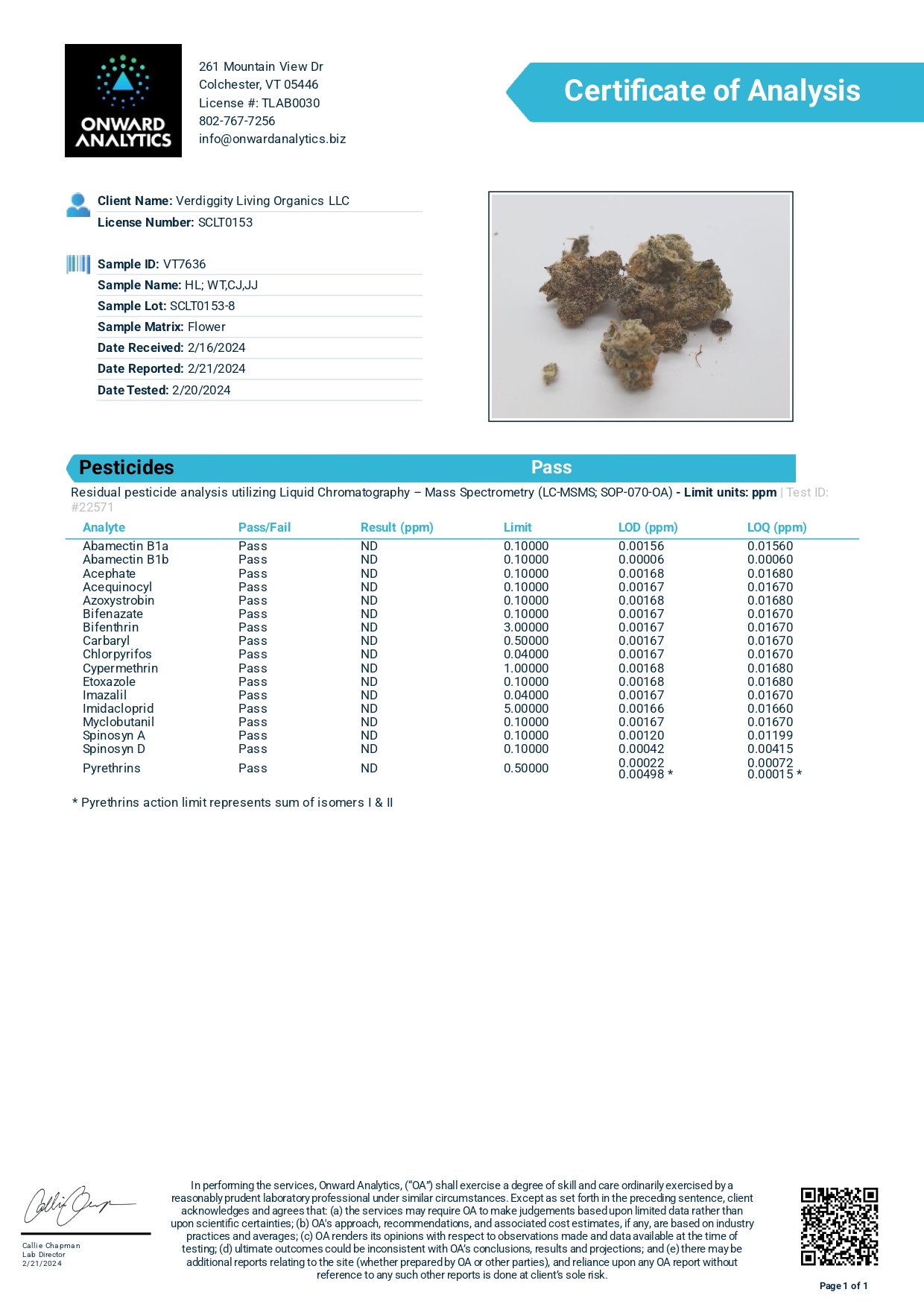 Cap Junky Certificate of Analysis | Mountain Girl Cannabis