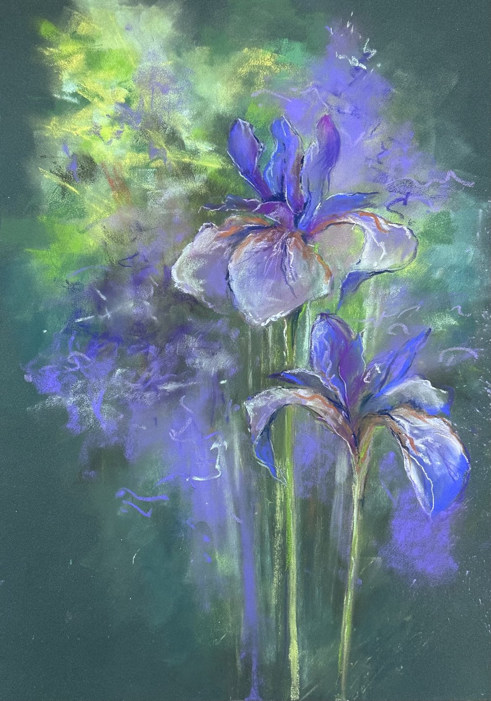 List of Pastel Videos — Learning to Paint with Alison C. Board