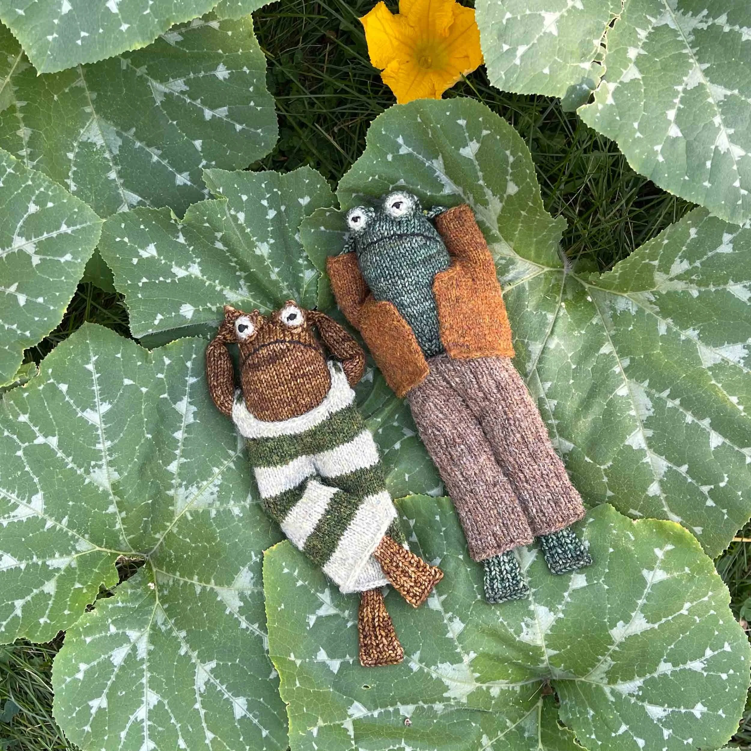 Frog + Toad Kit — Kelson Goods