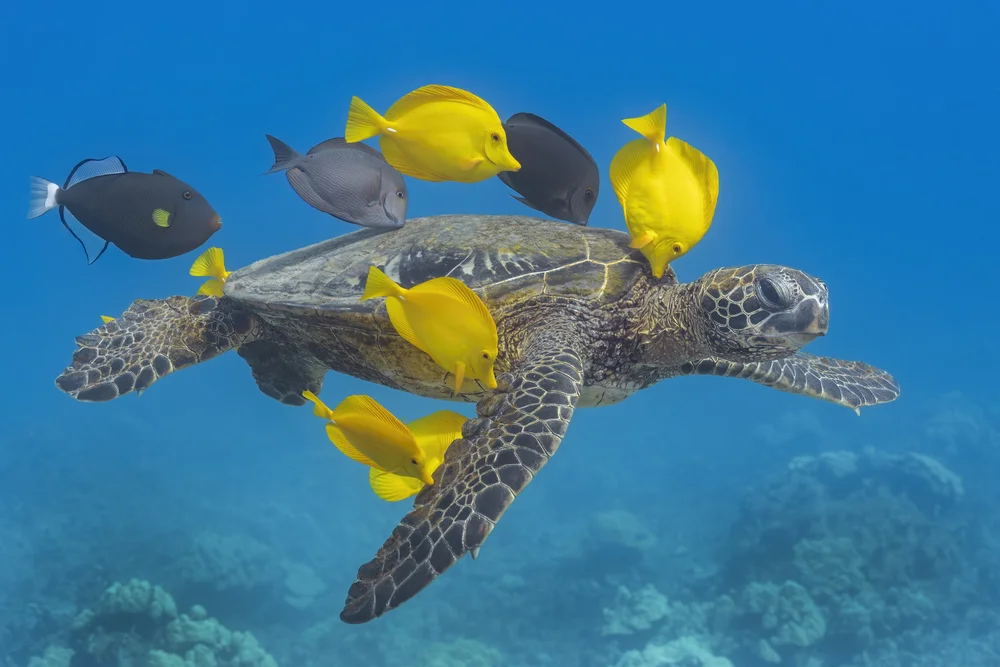 Philip Waller Photography