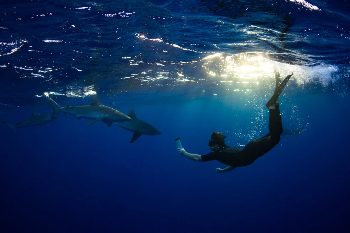 Philip Waller Photography