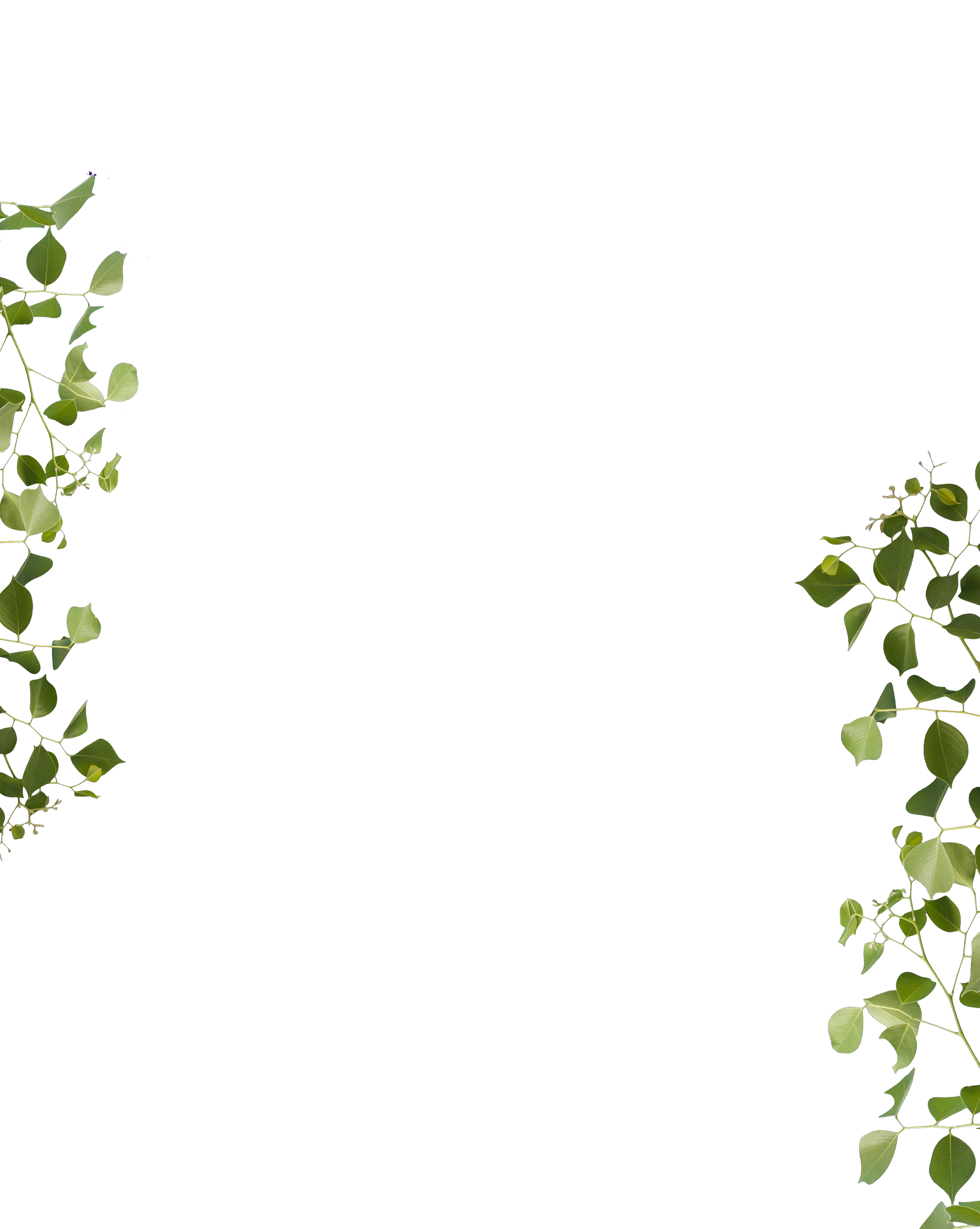 Events — Campfire Events