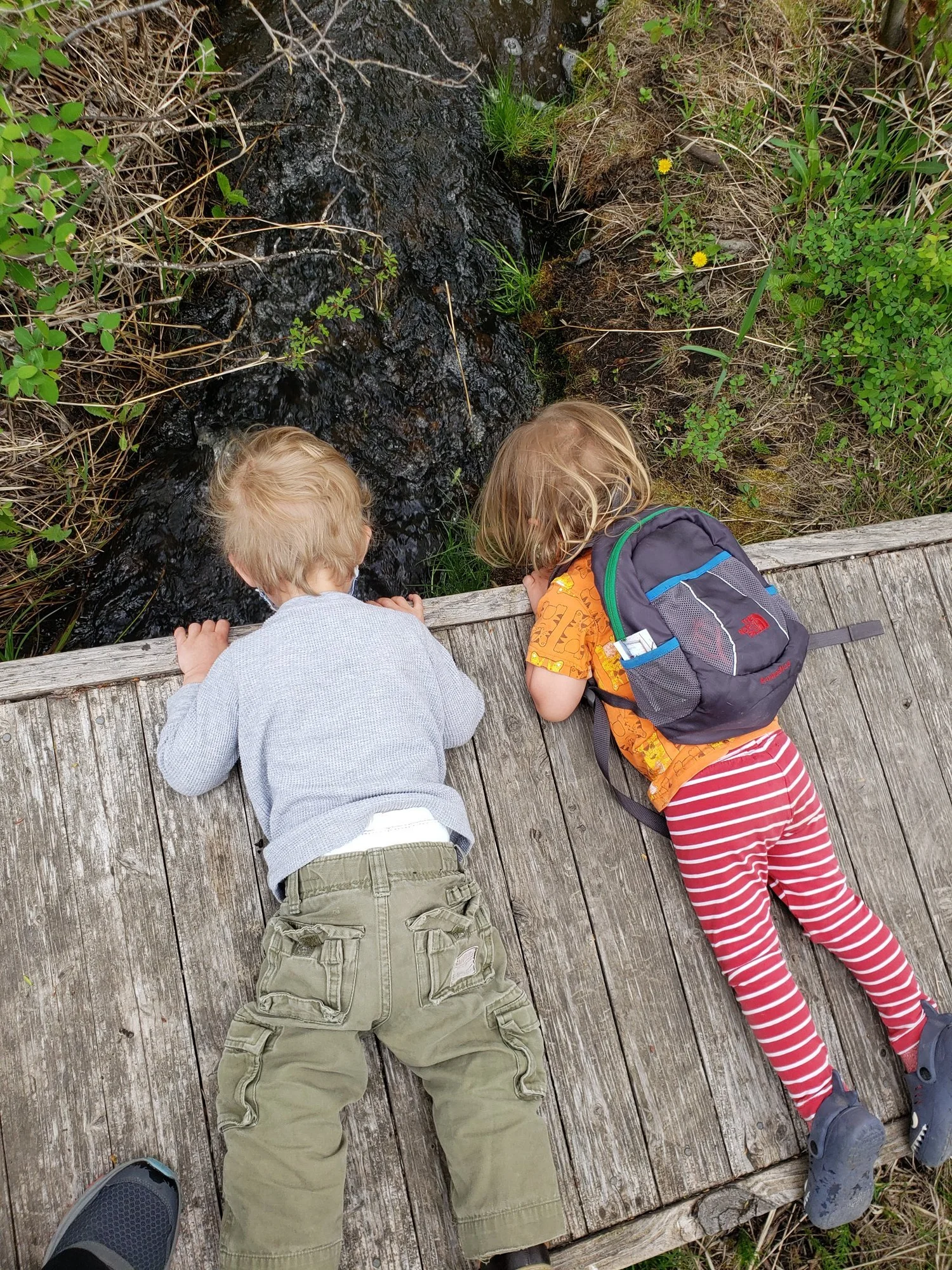 Washington Outdoor School