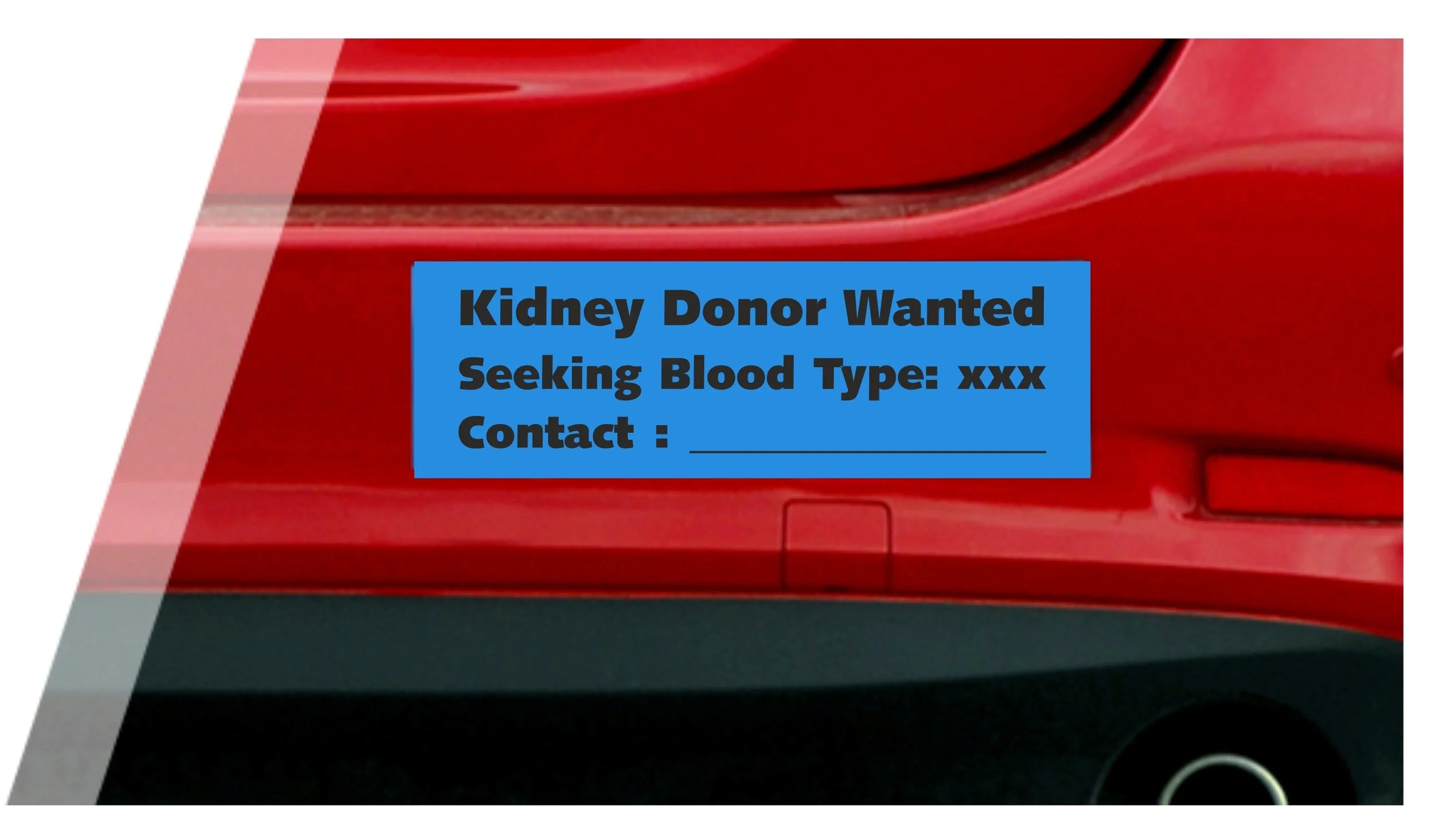 How to Get Your Promotional Tools — Kidney Search Foundation