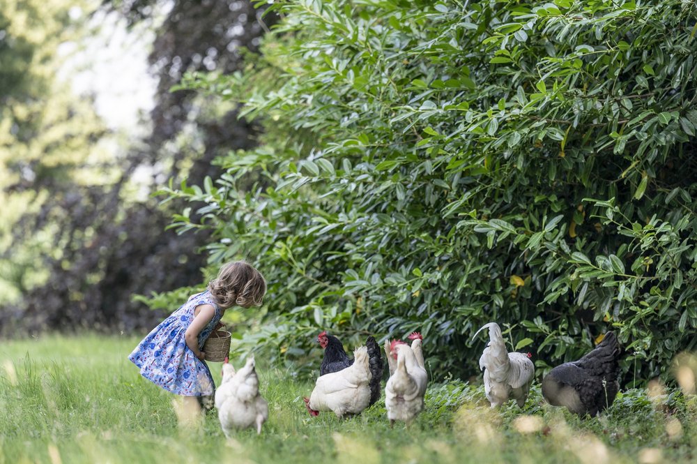 Keythorpe Hall, Leicestershire | Private House & Walled Garden