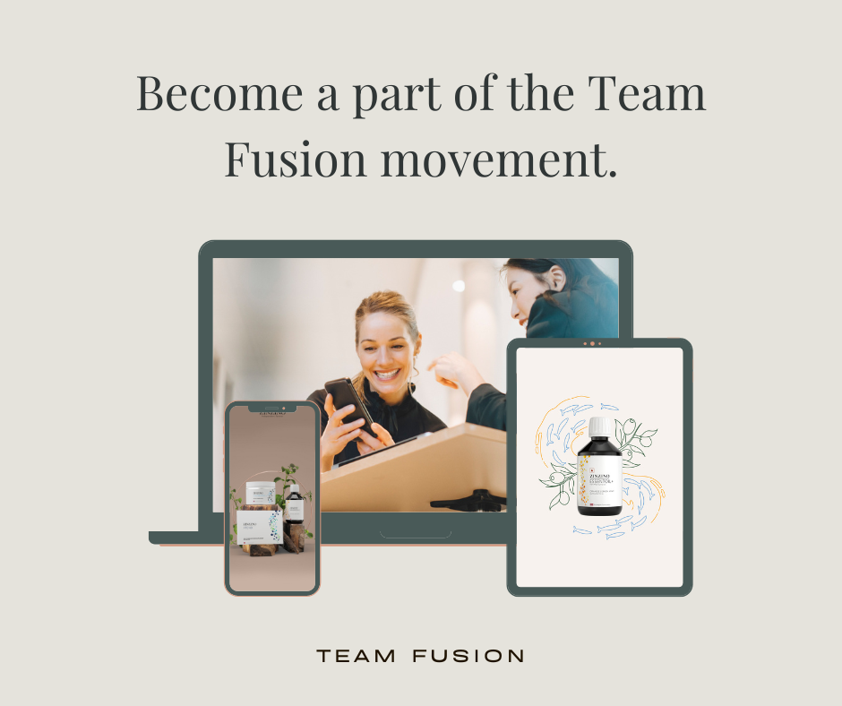 TEAM FUSION- Global e-commerce franchise