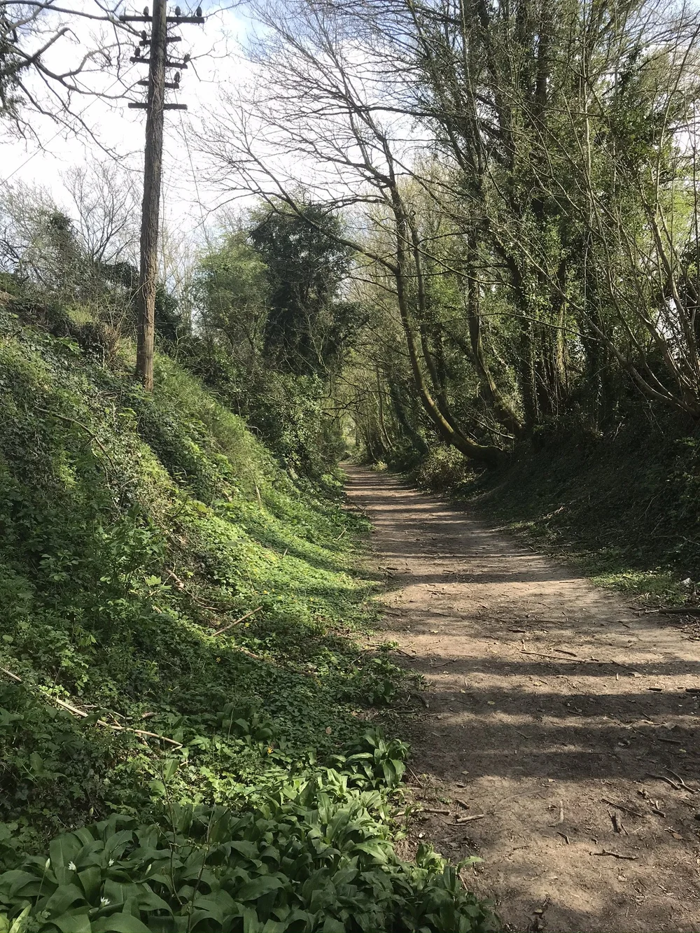 Walks — The Watercress Way