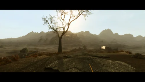 TTW New Vegas Texture Guide — salamand3r