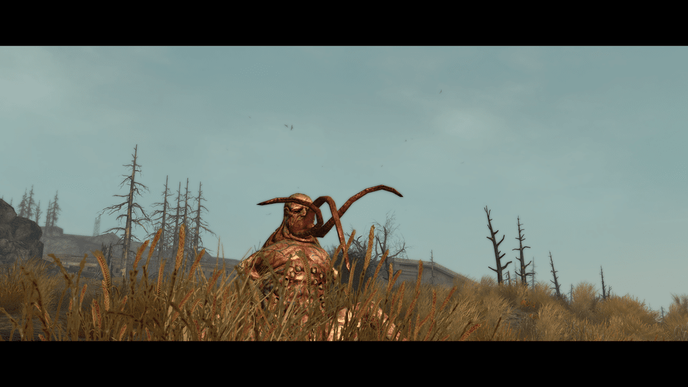 TTW New Vegas Texture Guide — salamand3r