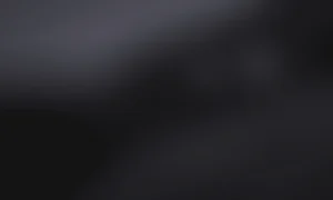 Investors — Avant Brands